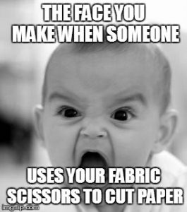 Monday Meme - Life of a Fairy Bra Mother