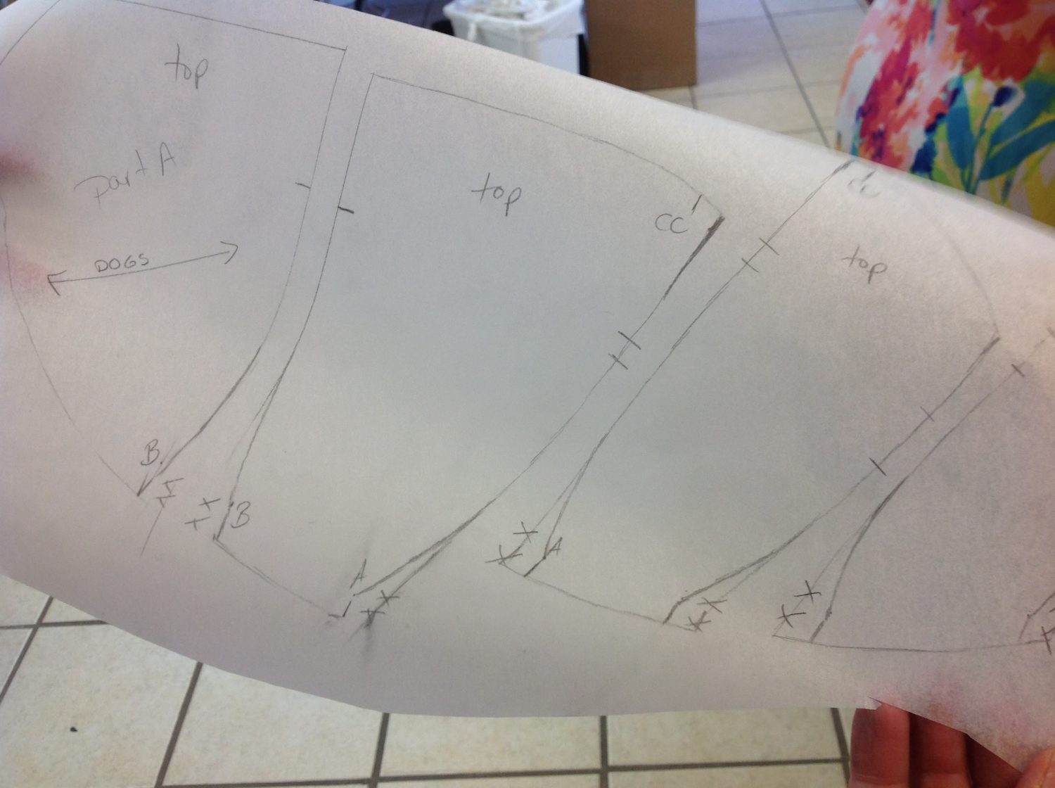 Bra Fit for Every Body - Bra-making Classes at Bra-makers Supply